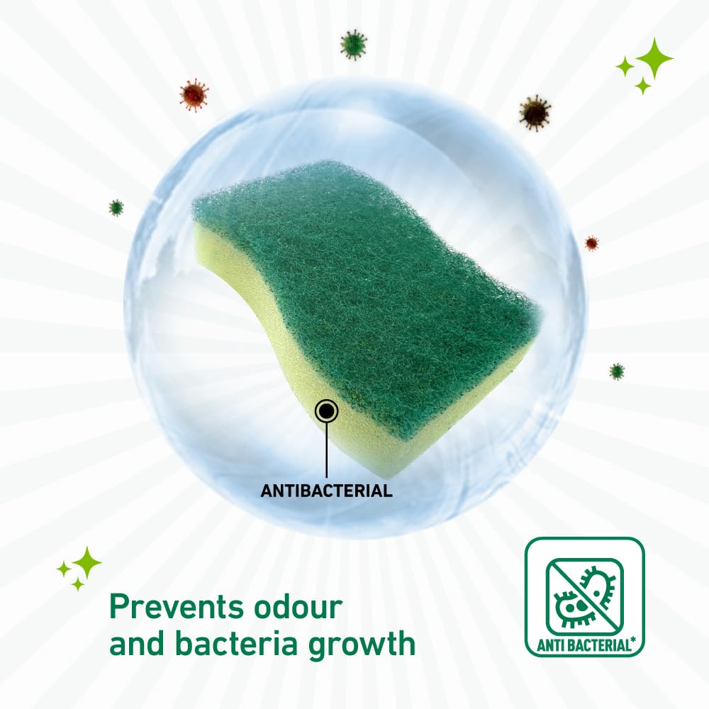 Scotch-Brite Scrub Sponge (Large) | Ant Mascot | Ant Mascot